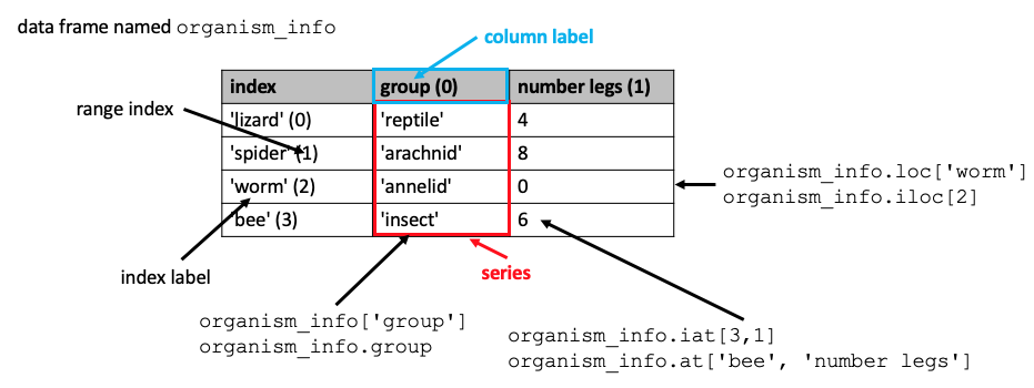 Codegraf Pandas Series And Data Frames Digital Scholarship Resources Vanderbilt Libraries